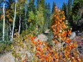 Herman Gulch in Fall - Regensburger Photography